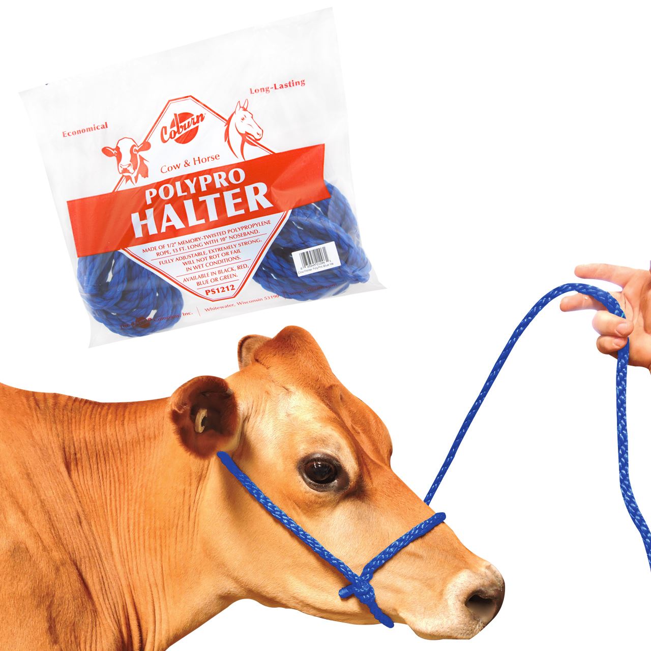 Polypro Cow Halter : Blue | Heritage Animal Health