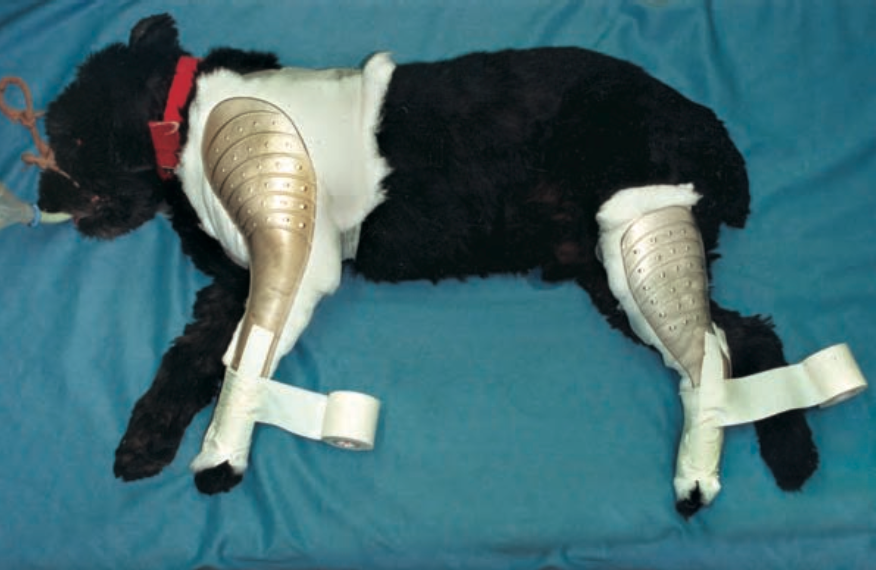 Quick Splint Rear Medium Leg Pair J0119R | Heritage Animal Health