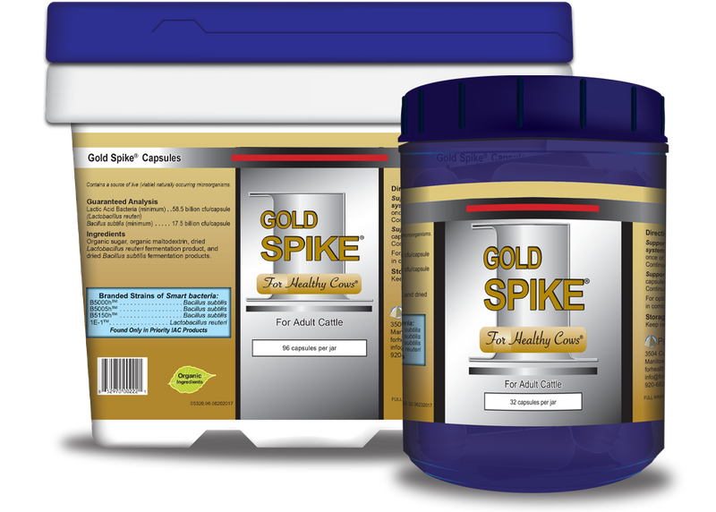 Gold Spike Capsules : 32ct | Heritage Animal Health