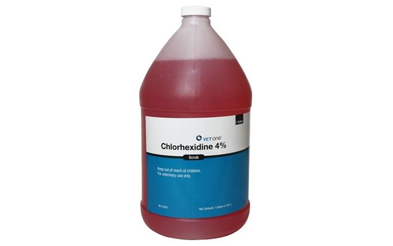 VetOne Chlorhexidine Scrub 4% : Gal | Heritage Animal Health