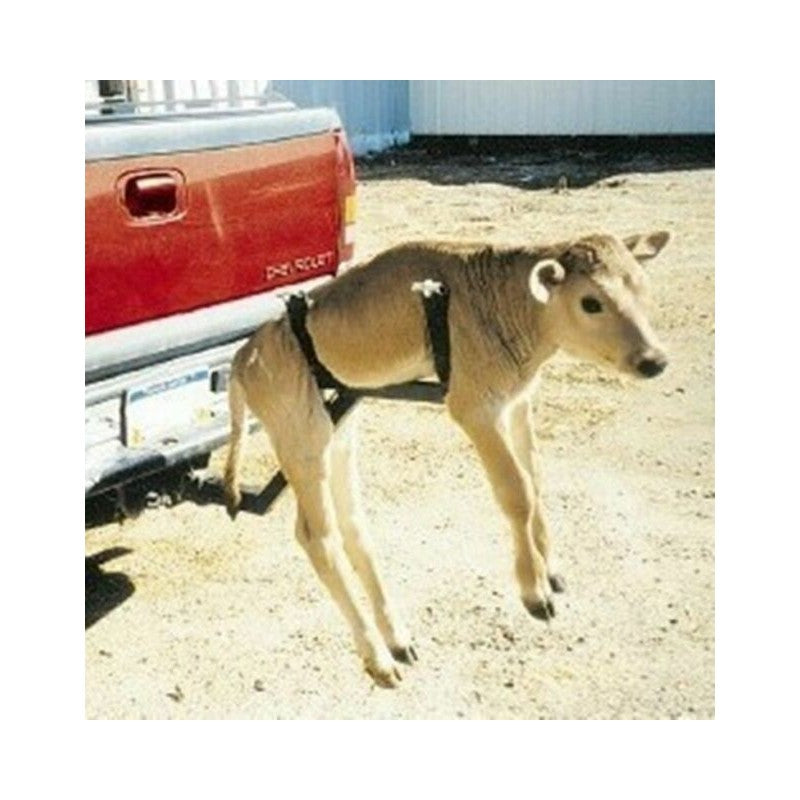 Calf Carrier w/ Receiver Hitch -4 pieces | Heritage Animal Health